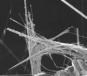 Erionite or Offratite, Rock Island Dam, Columbia River, Douglas, WA, by ...